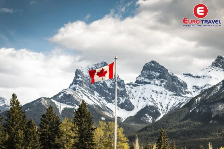 Cờ Đức - Hình ảnh và Lịch Sử Bí Ẩn của Quốc Kỳ Đức